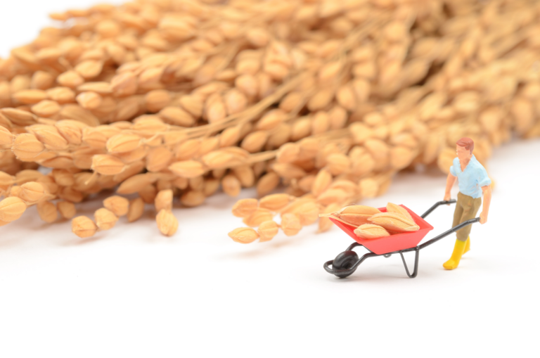 Company profile – Crystal Rice